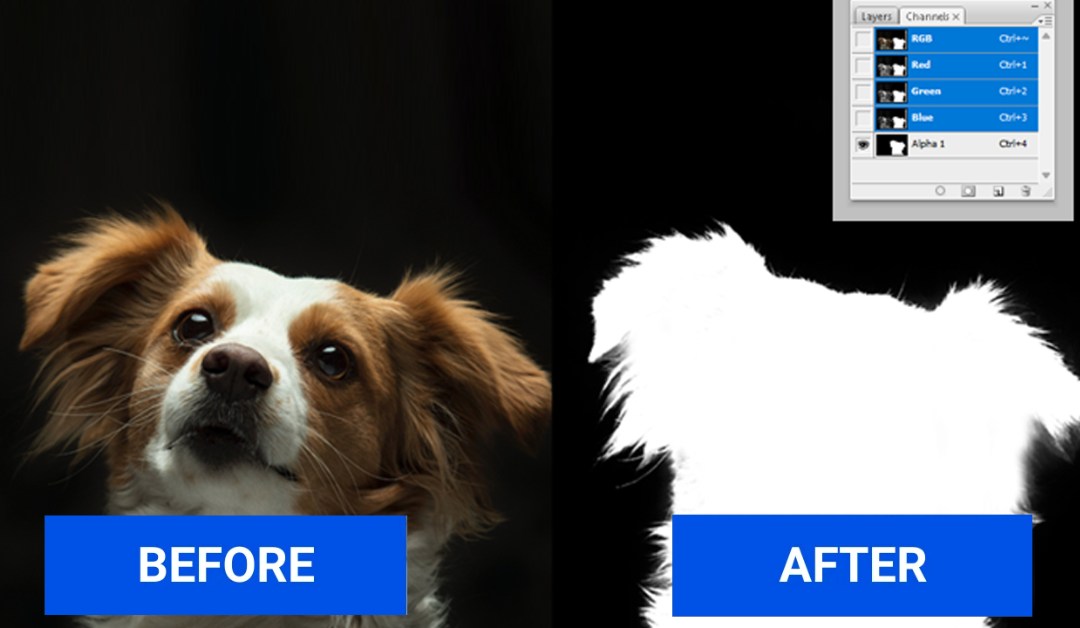 An Introduction to This Essential Image Editing Technique - Clipping Path Finder